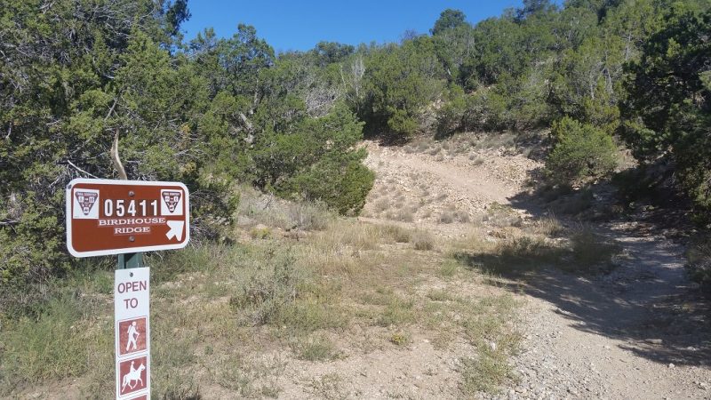 4 Unique Albuquerque Hiking Trails - A Couple of Drifters