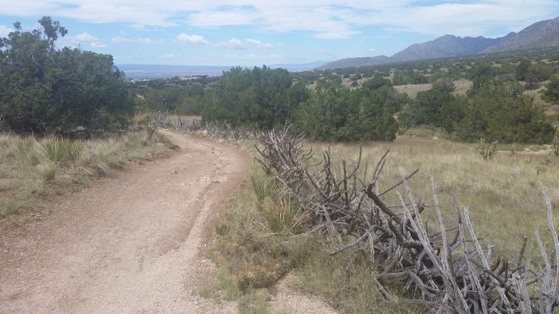 4 Unique Albuquerque Hiking Trails - A Couple of Drifters