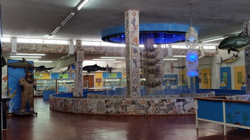 What to Do in Mazatlan (When You've Done Everything Else) - A Couple of ...