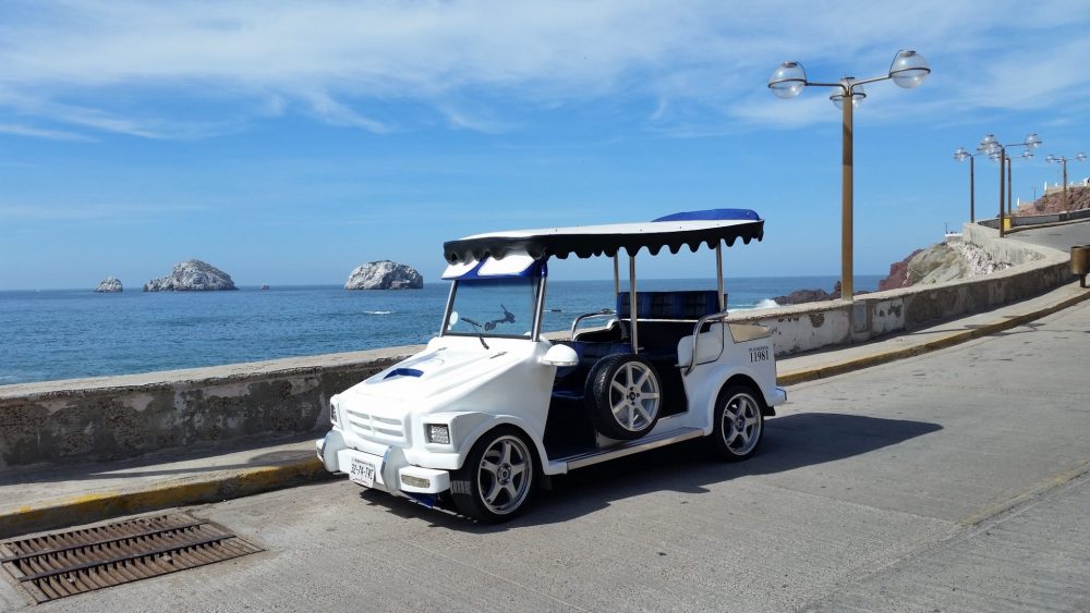 Discover the Best Pulmonia Tours in Mazatlan - A Couple of Drifters
