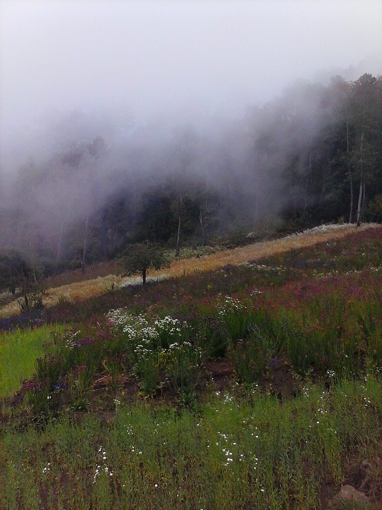 Hiking And Hot Springs Near Xela - A Couple of Drifters